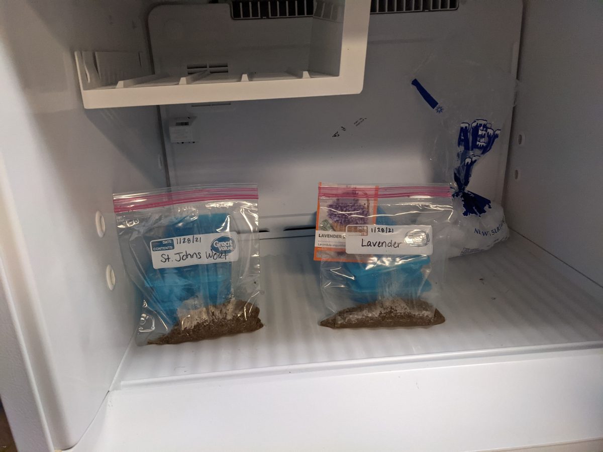 Cold Stratification - Mass History Commons